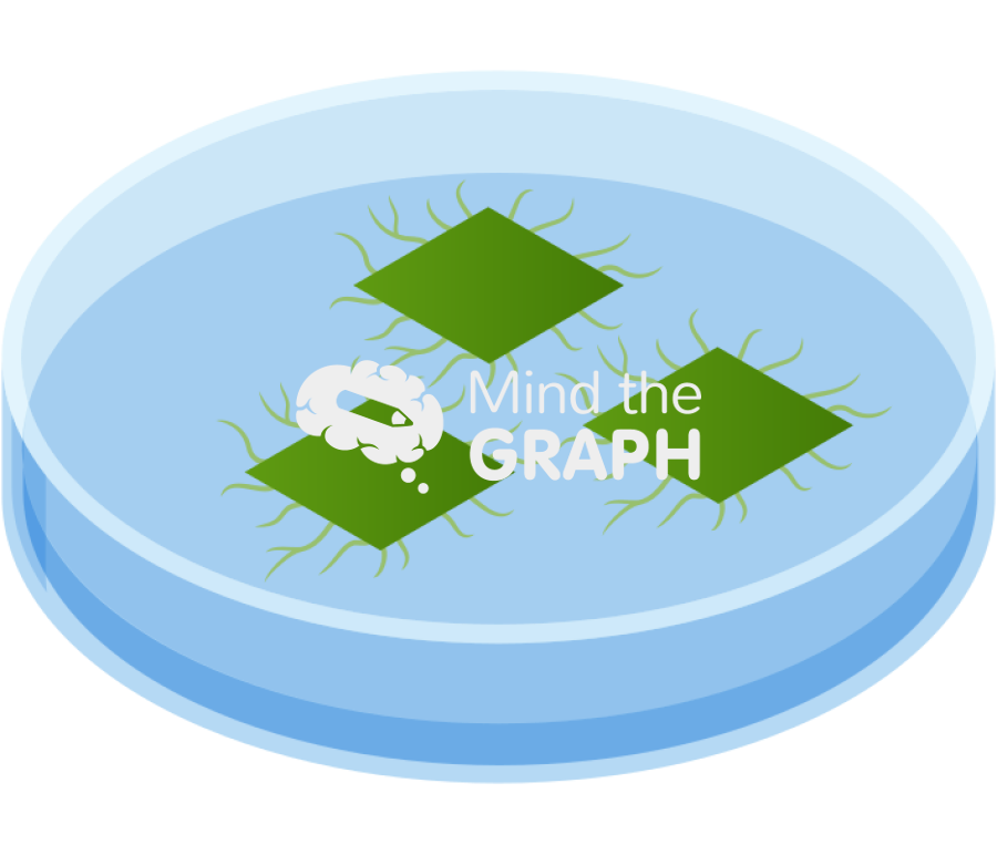 Petri Dish Square Leaf Root Compound
