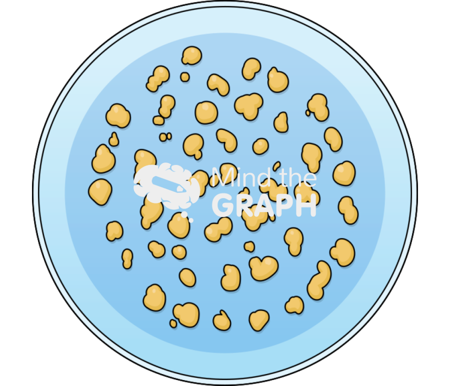 Free Adipose tissue explant culture petri dish front Icons, Symbols ...