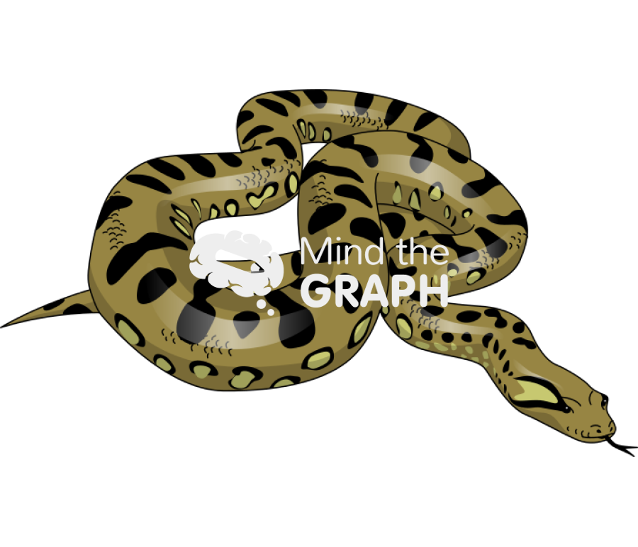 Clipart De Anaconda Anaconda | ClipArt ETC
