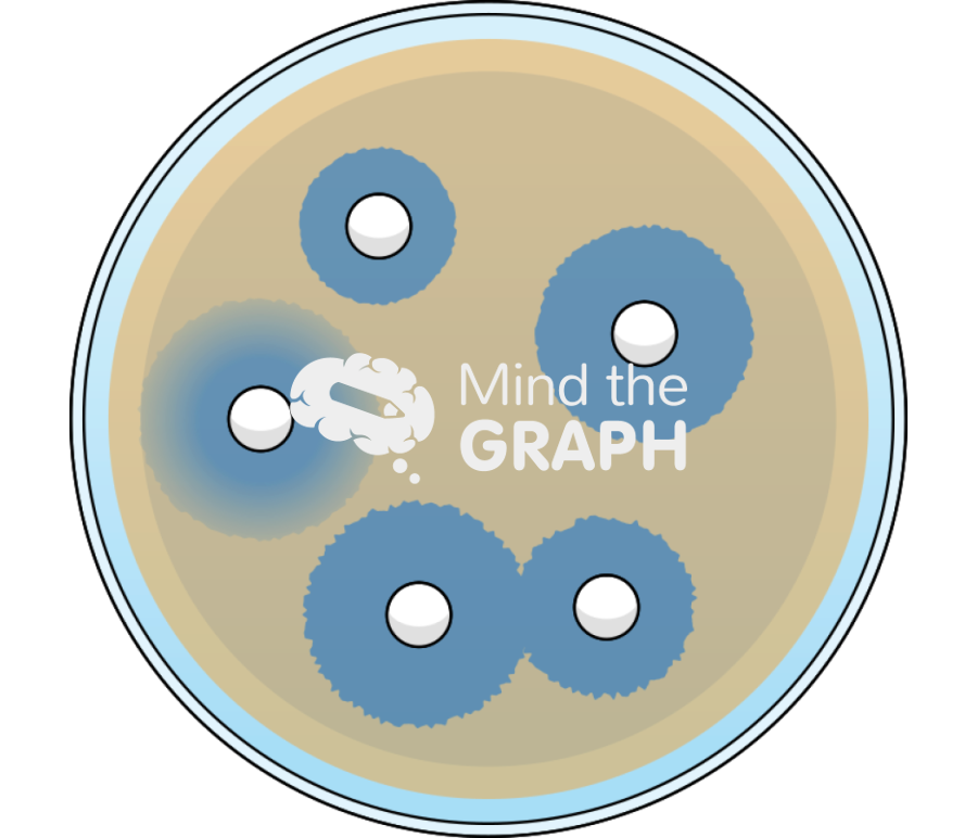 Free Antibiogram petri dish front 2 Icons, Symbols, Pictures, and ...