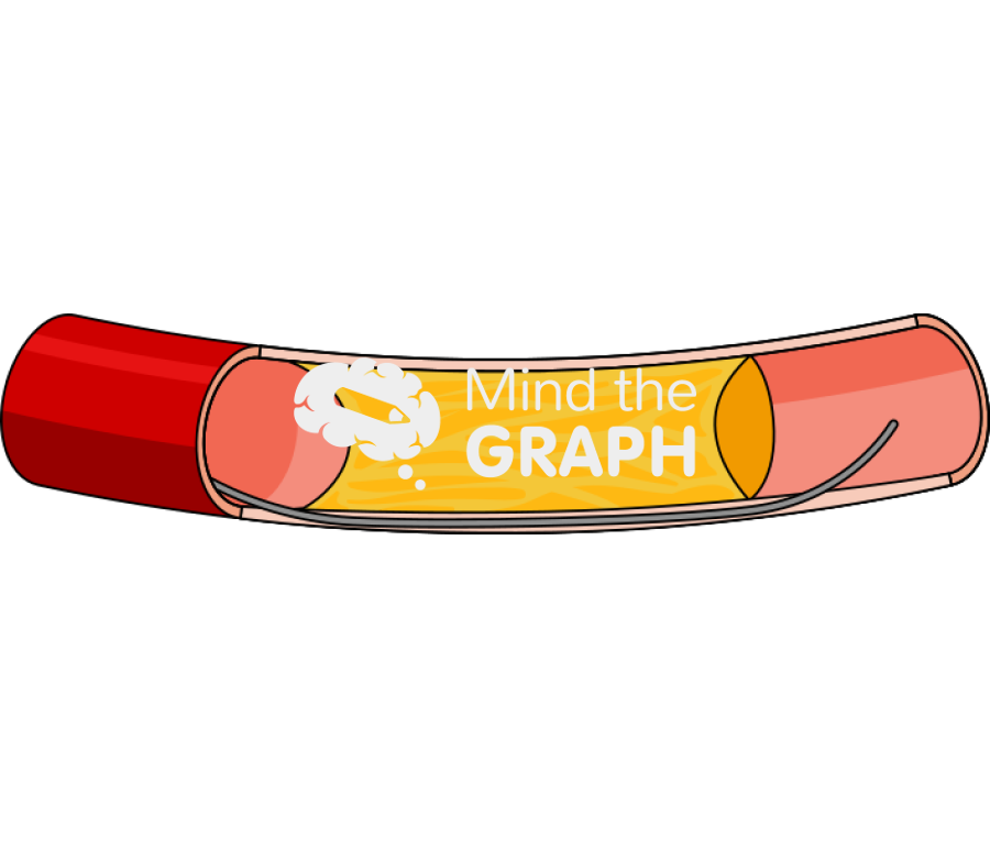 Artery star technique longitudinal cut 2