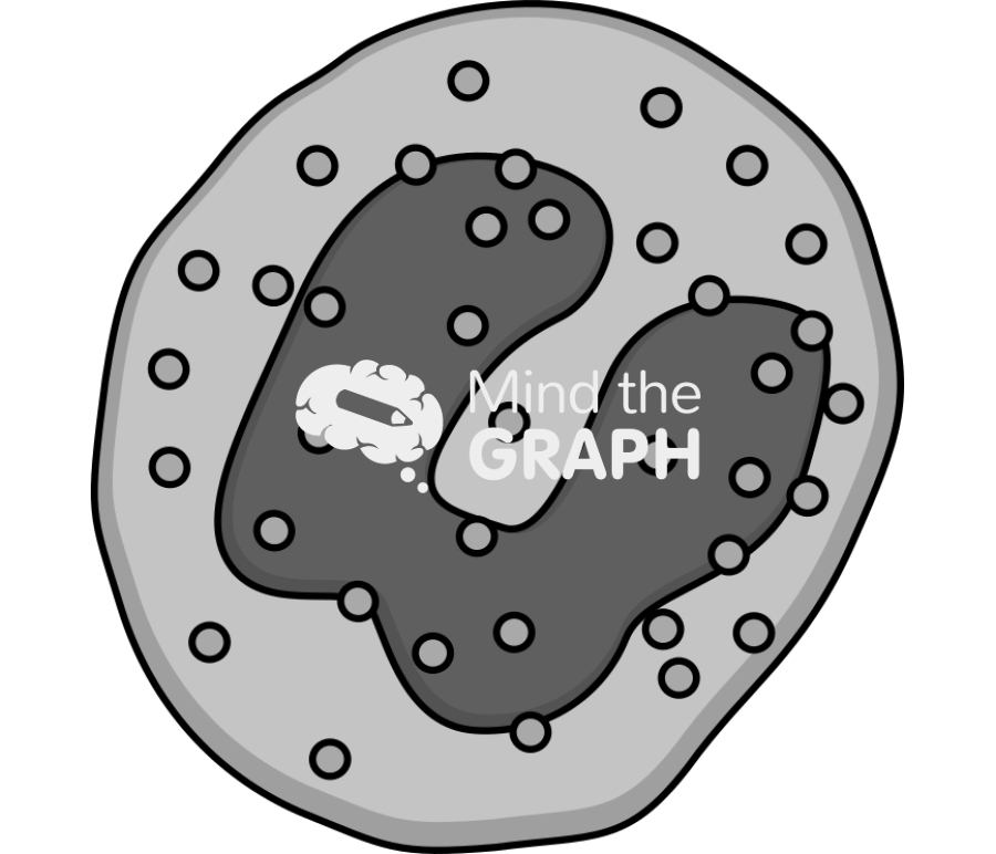 Free Basophil band cell Icons, Symbols, Pictures, and Images | Mind the ...