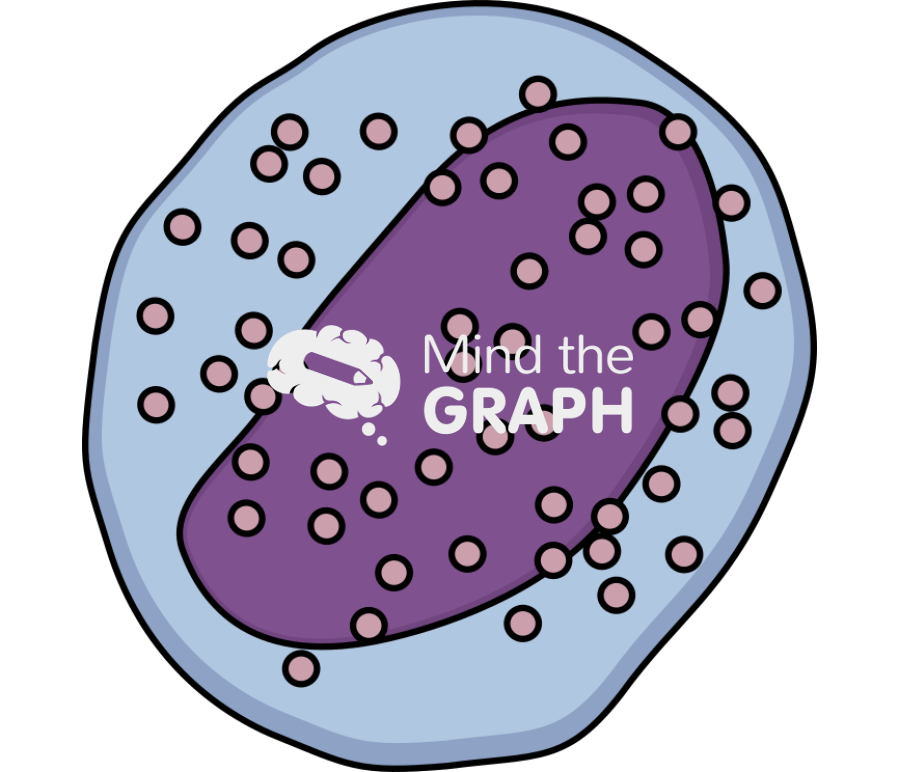 Free Basophil myelocye Icons, Symbols, Pictures, and Images | Mind the ...