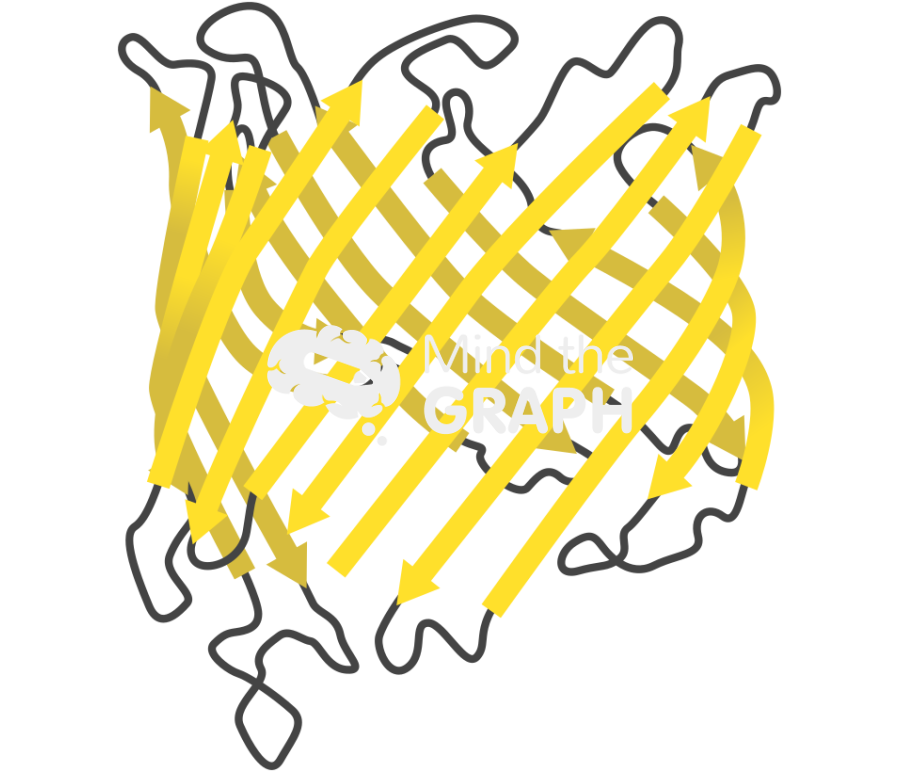 Free Beta Barrel Protein 1 Icons Symbols Pictures And Images Mind The Graph