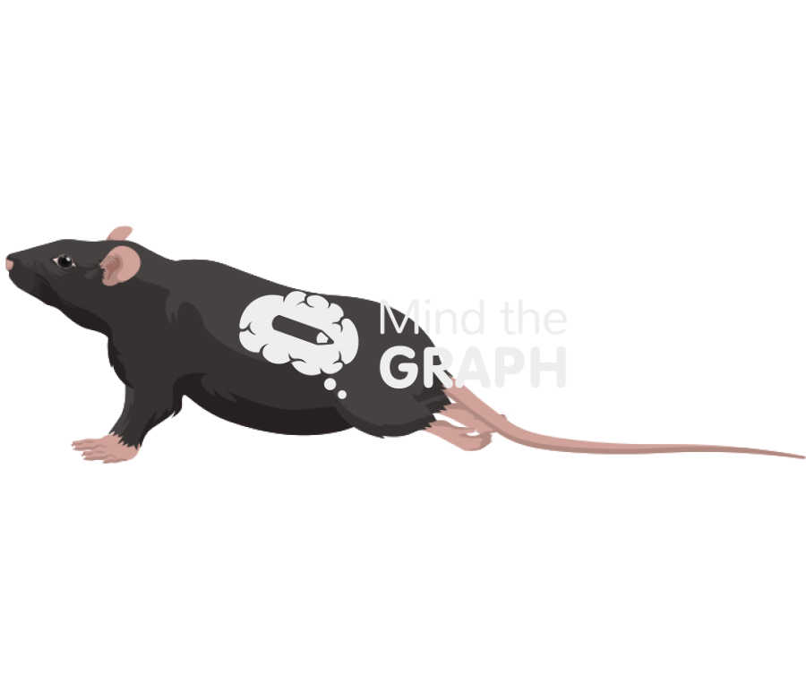Free Black rat lateral hind legs paralyzed Icons, Symbols, Pictures ...