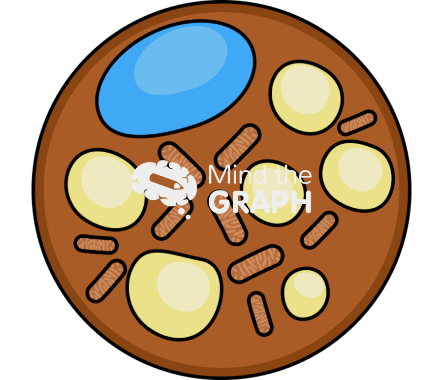 Free Brown adipocyte Icons, Symbols, Pictures, and Images | Mind the Graph
