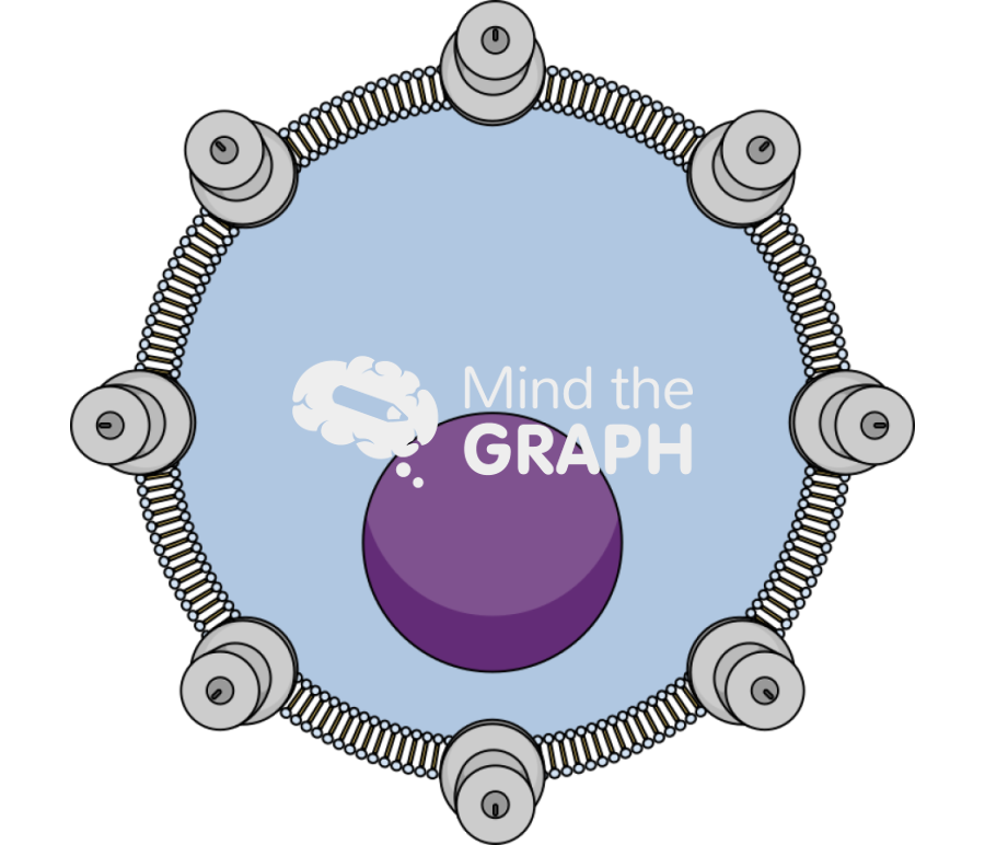 Cell nucleus membrane door handle