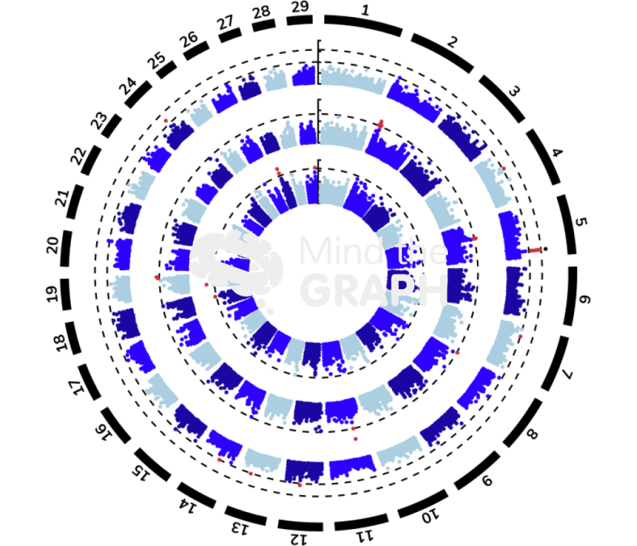 Circular manhattan plot chart