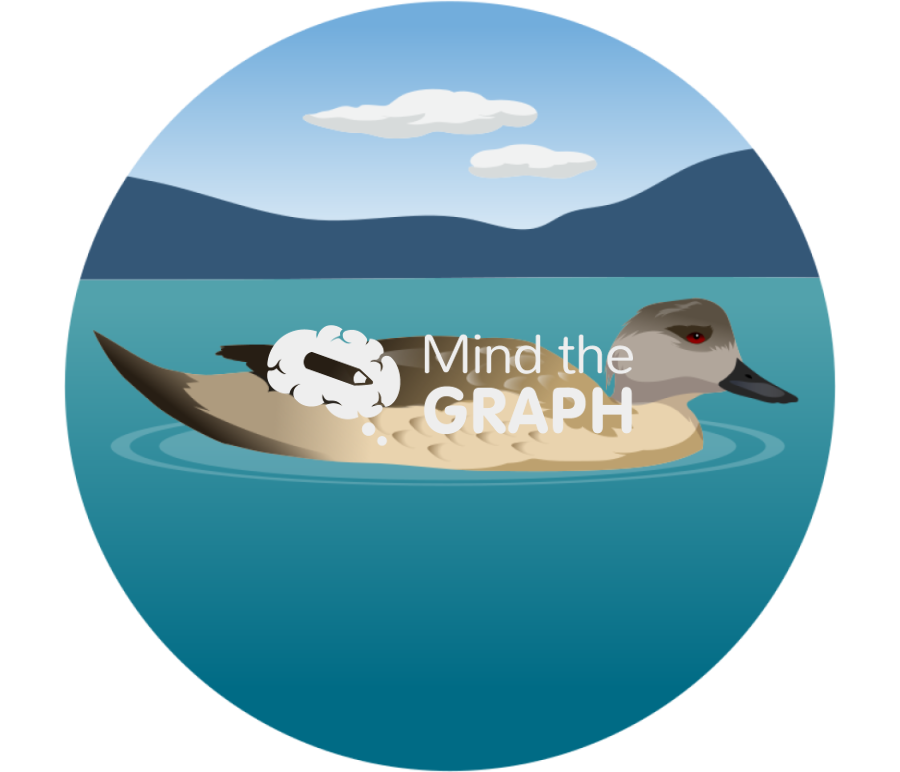 Crested duck patagonian zoom