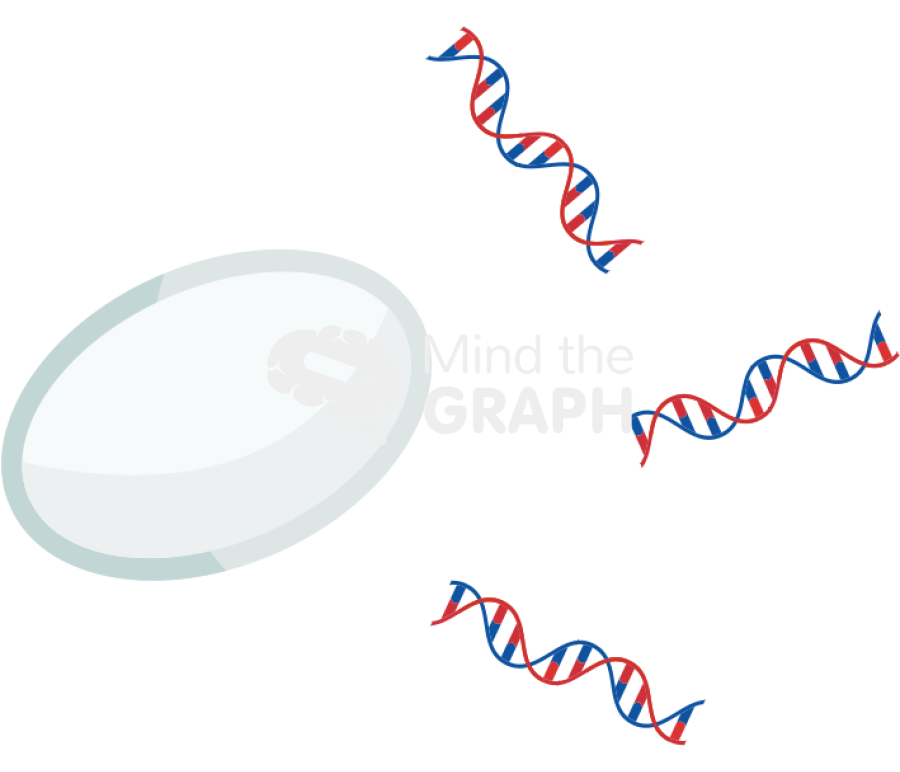Free Dissolution and dna release Icons, Symbols, Pictures, and Images ...