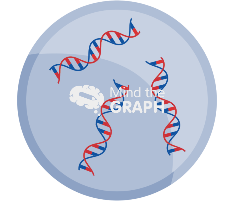 Free Dna chitosan microcapsule lysis buffer Icons, Symbols, Pictures ...