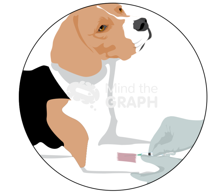 Free Dog cephalic catheter placement zoom 1 Icons, Symbols, Pictures ...