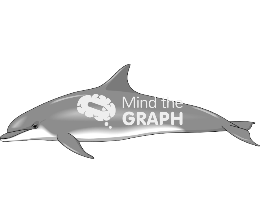 Free Dolphin Icons, Symbols, Pictures, and Images | Mind the Graph