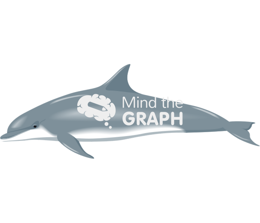 Free Dolphin Icons, Symbols, Pictures, and Images | Mind the Graph