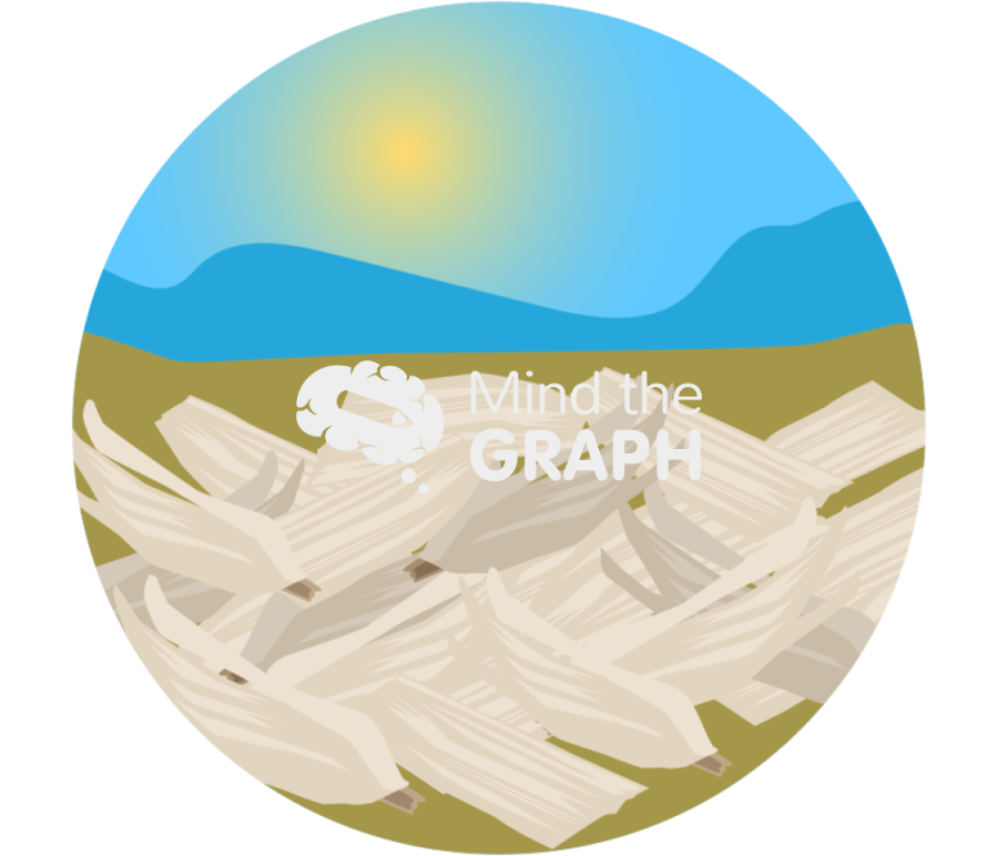 Free Dried corn husk zoom Icons, Symbols, Pictures, and Images | Mind ...