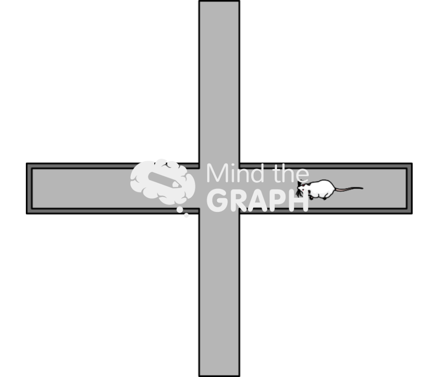 Free Elevated plus maze overhead superior Icons, Symbols, Pictures, and ...