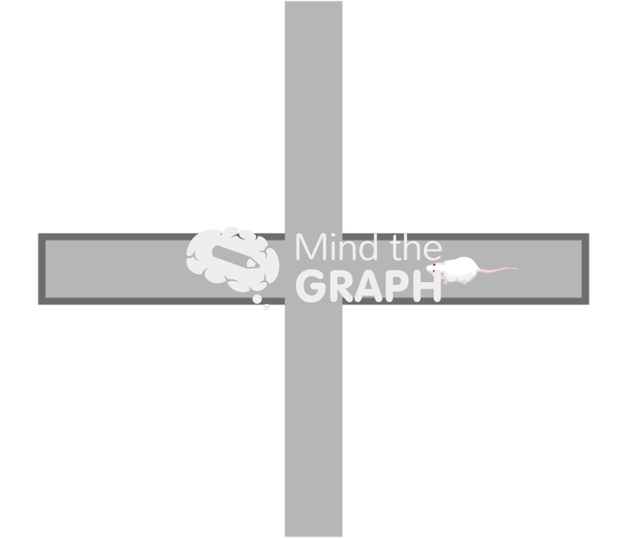 Free Elevated plus maze overhead superior Icons, Symbols, Pictures, and ...