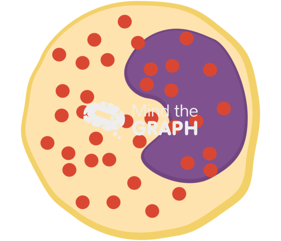 Free Eosinophil metamyelocyte 2 Icons, Symbols, Pictures, and Images ...