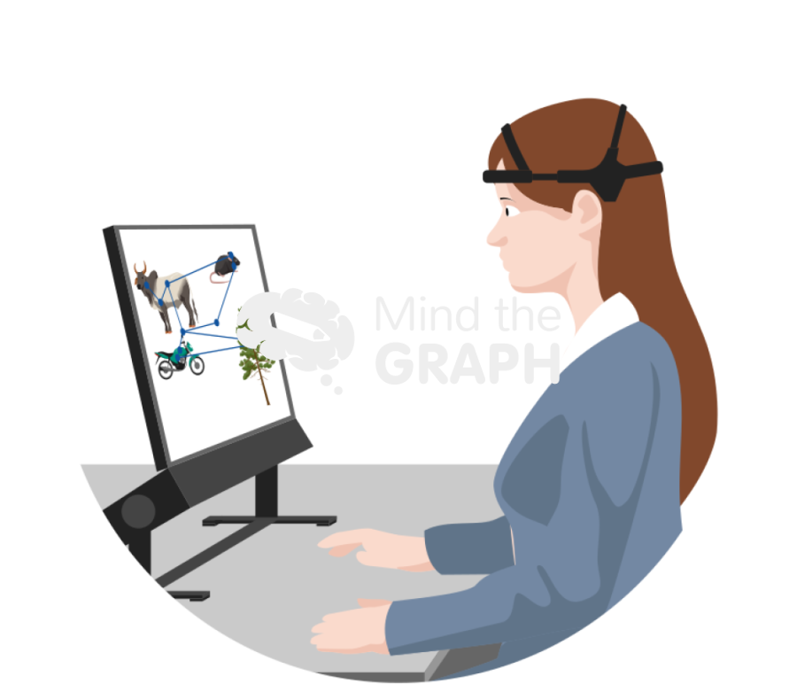 Eye tracking experiment equipment zoom