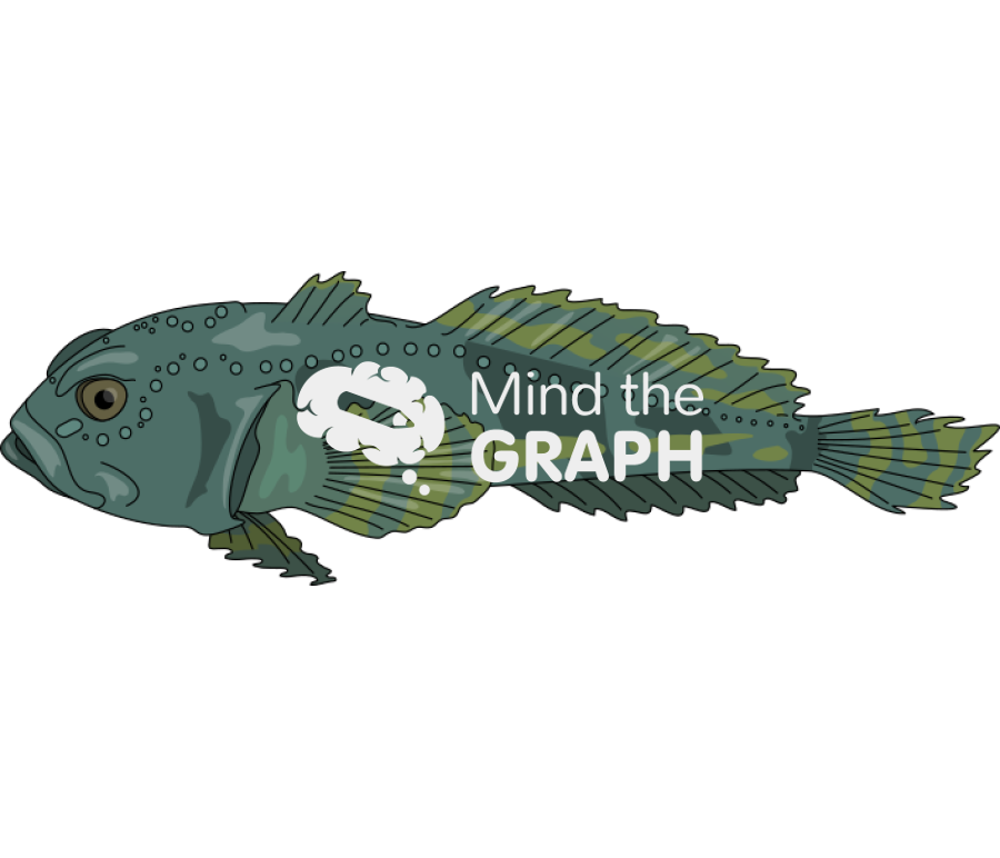 Free Harpagifer fish Icons, Symbols, Pictures, and Images | Mind the Graph