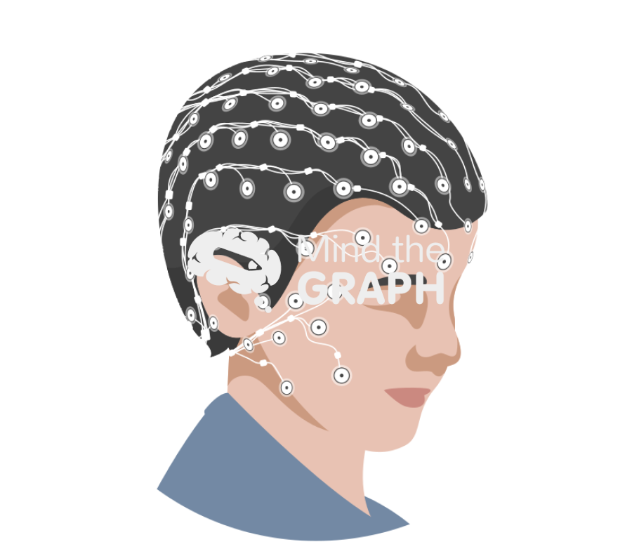Eeg Cap Drawing