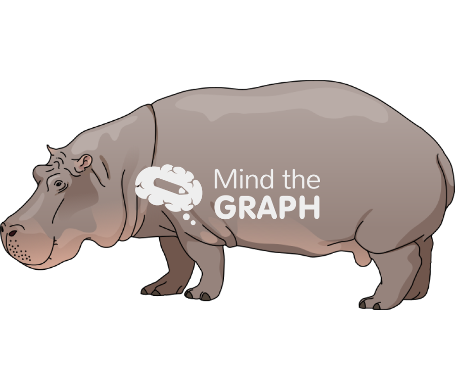 Free Hippopotamus Icons, Symbols, Pictures, and Images | Mind the Graph