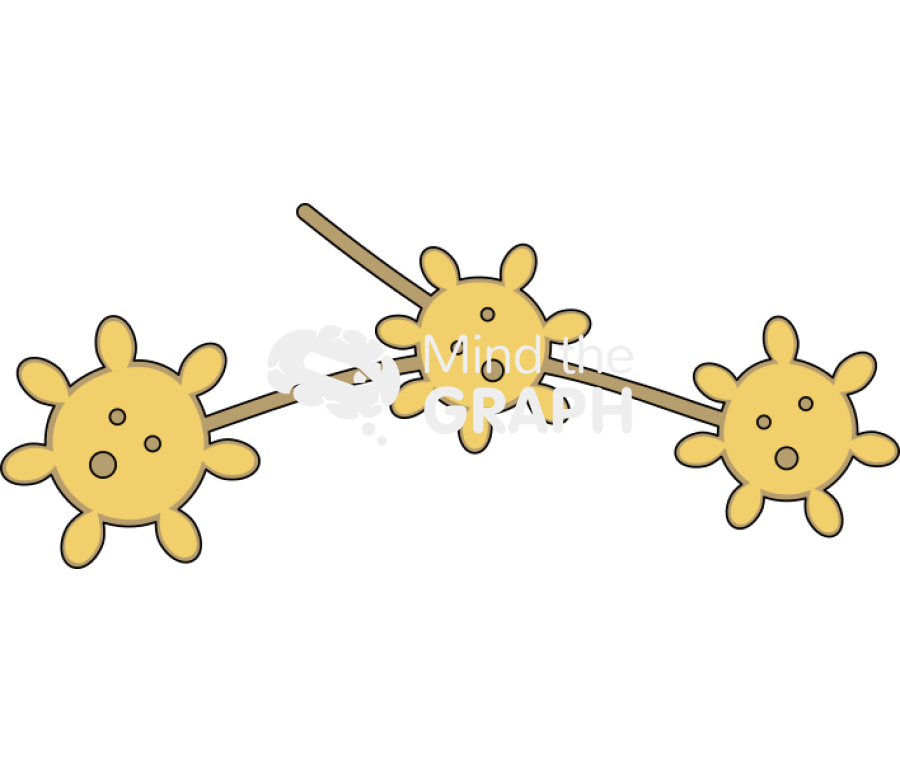 Free Histoplasma hypha Icons, Symbols, Pictures, and Images | Mind the ...