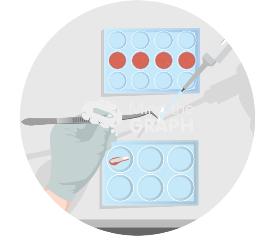 Free Lateral seeded cells scaffolds Icons, Symbols, Pictures, and ...