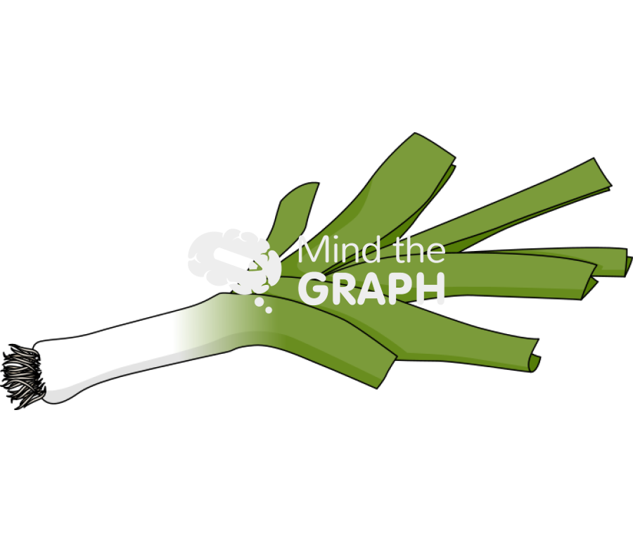 Free Leek Icons, Symbols, Pictures, and Images | Mind the Graph