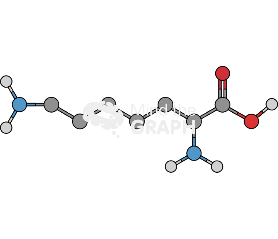 Free Lysin molecule Icons, Symbols, Pictures, and Images | Mind the Graph