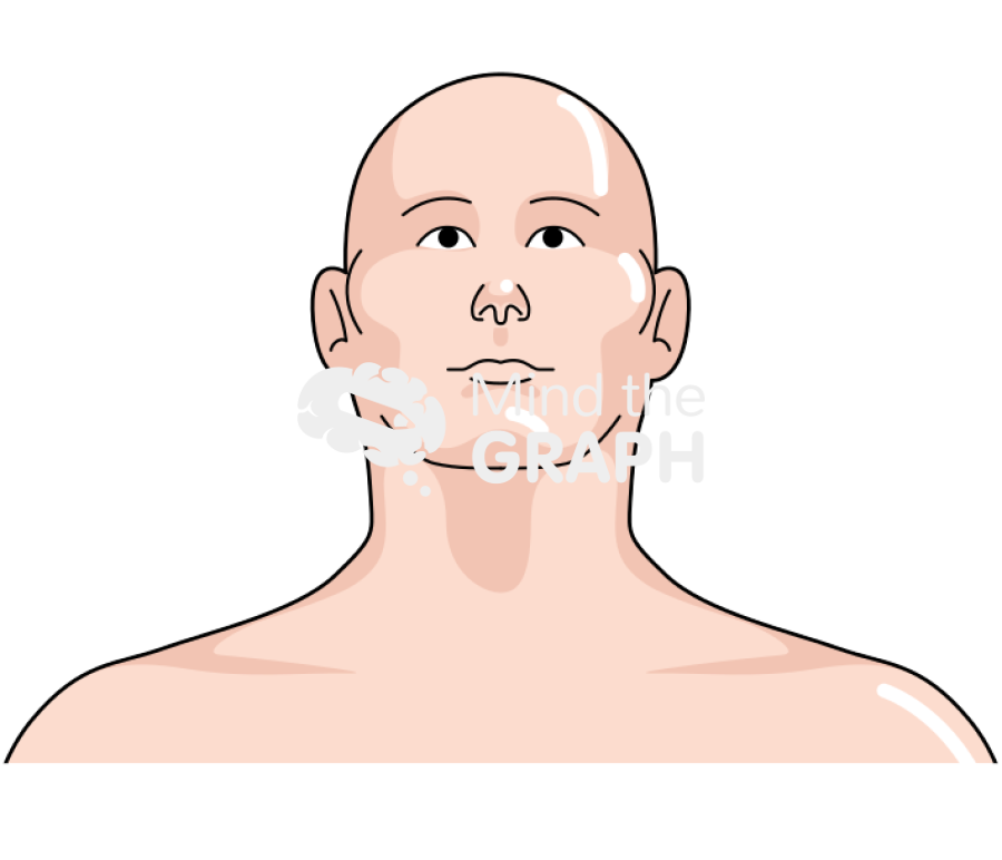 Man head front caucasian