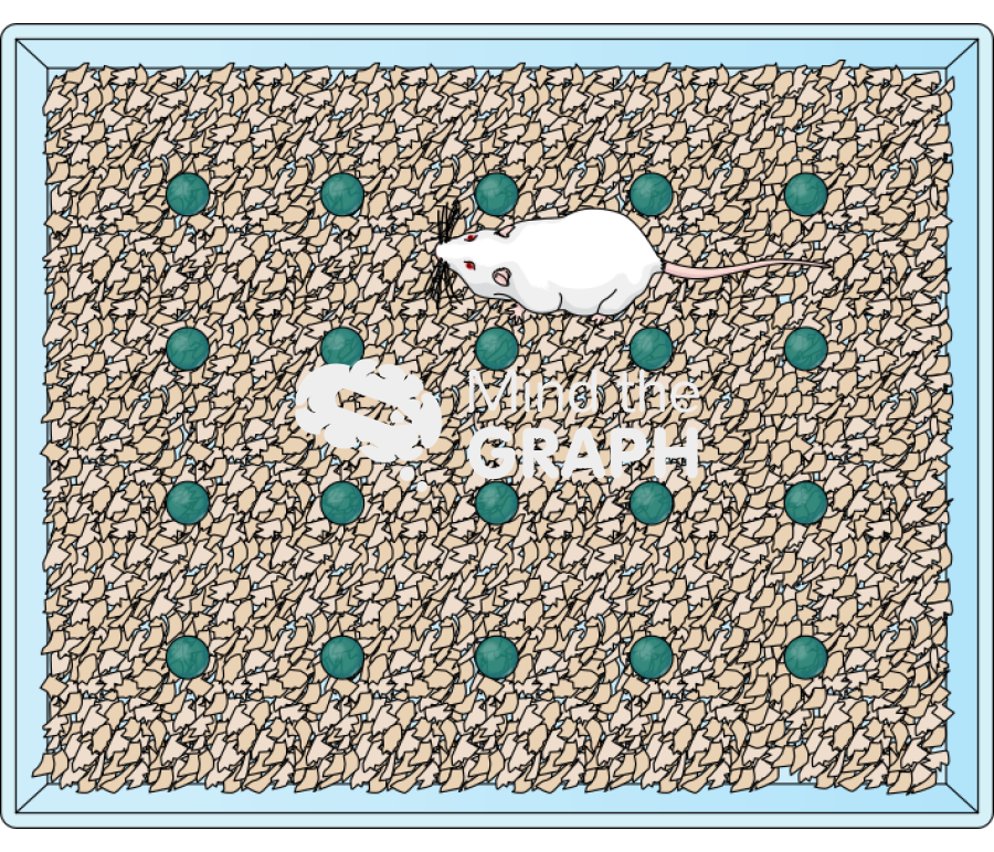 Free Marble burying mouse test Icons, Symbols, Pictures, and Images ...