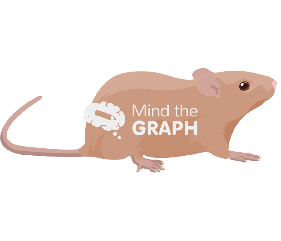 Marsh rice rat oryzomys palustris