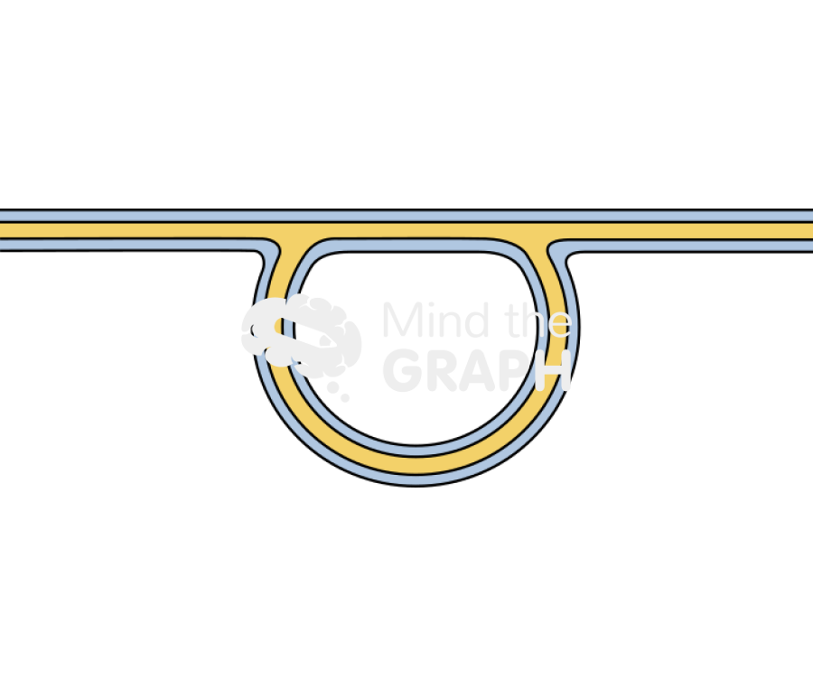 Free Membrane 8 simple Icons, Symbols, Pictures, and Images | Mind the ...