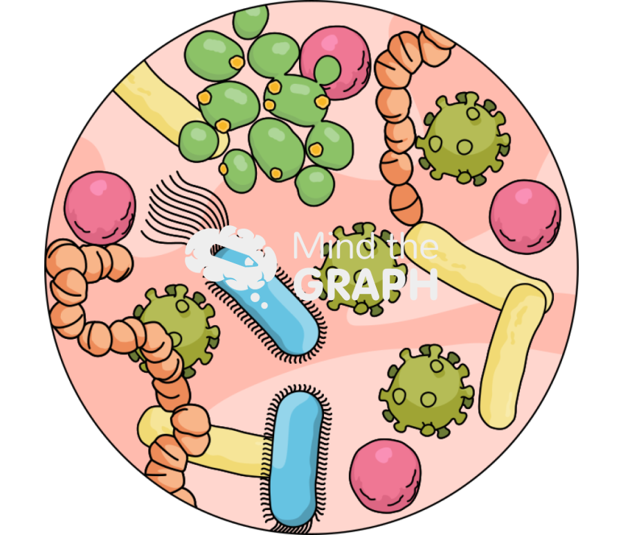 Microbiome multiple bacteria virus fungi
