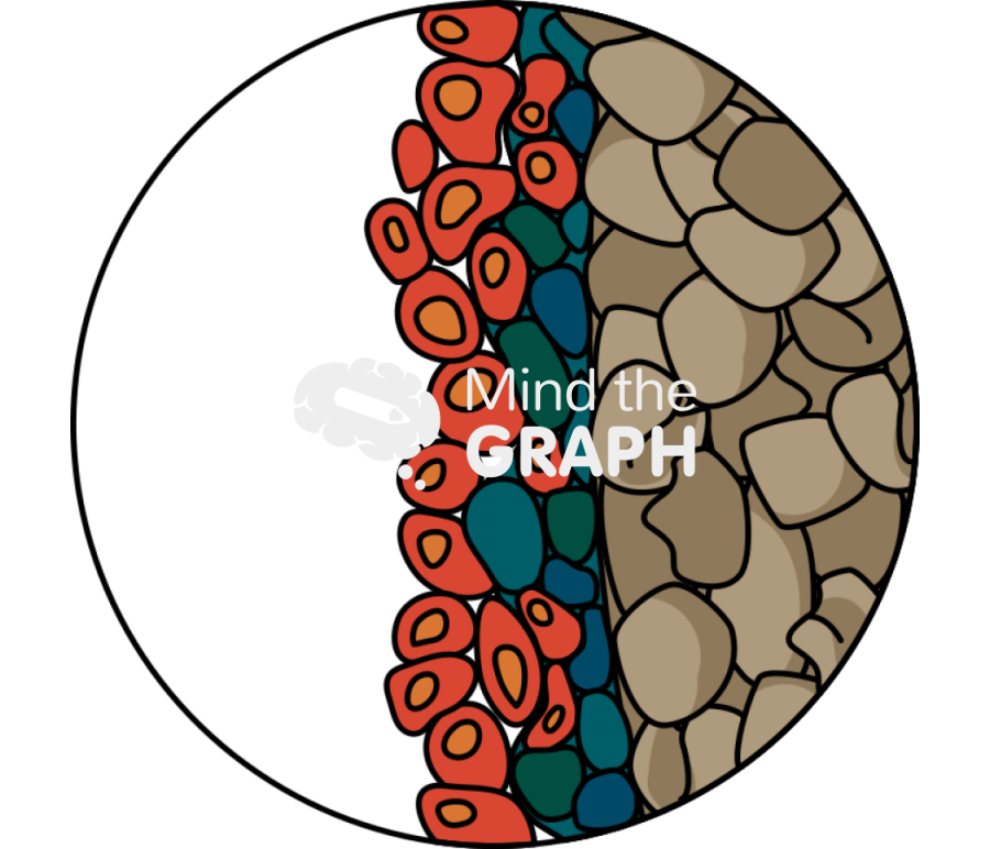 Free Microorganism biological filter Icons, Symbols, Pictures, and ...