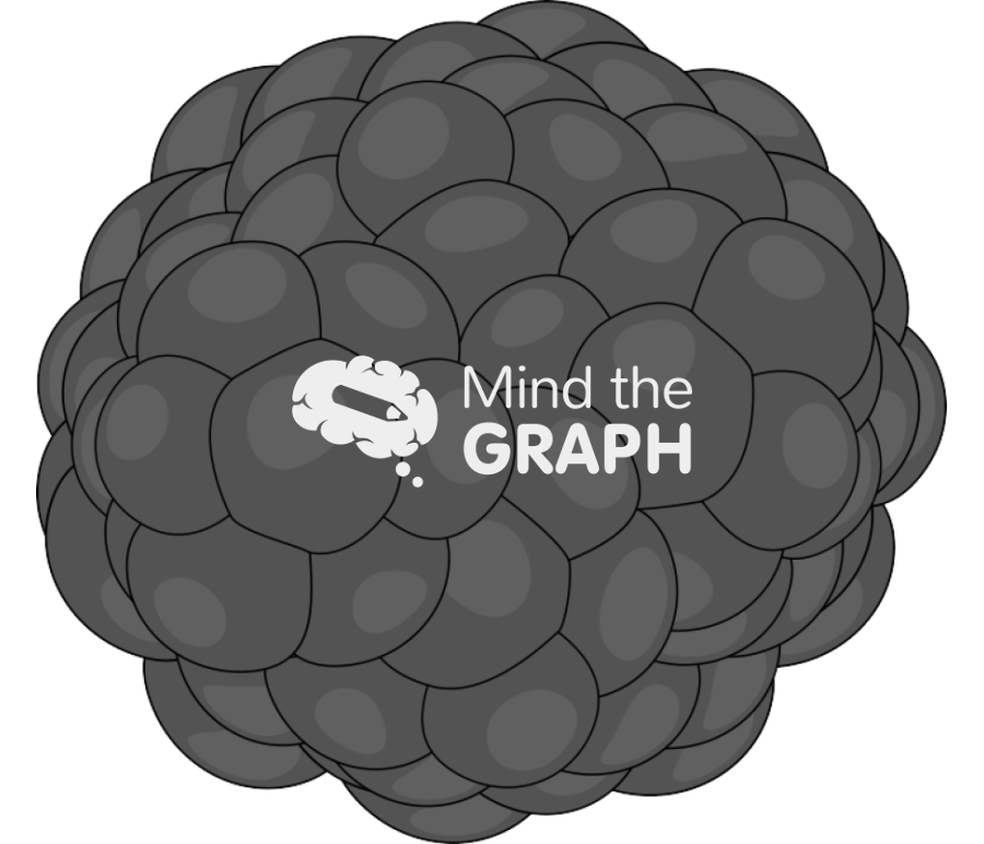 Free Morula Icons Symbols Pictures And Images Mind The Graph