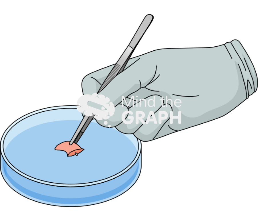 Free Mouse extract femur hand petri dish Icons, Symbols, Pictures, and ...