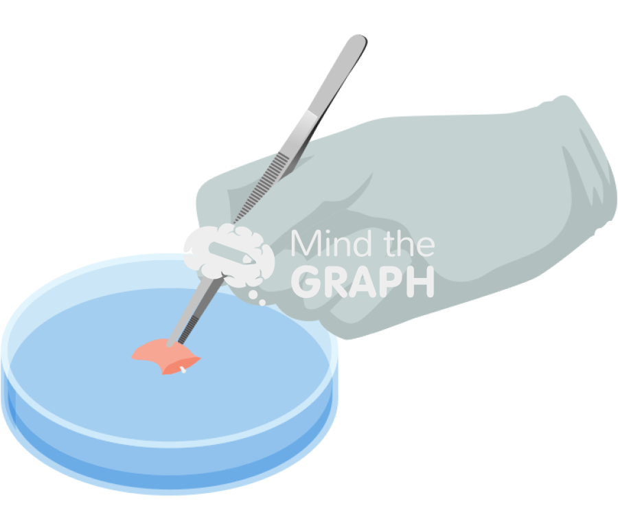 Free Mouse extract femur hand petri dish Icons, Symbols, Pictures, and ...