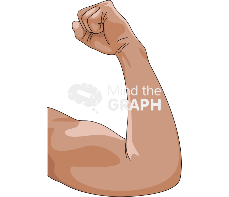 Free Muscular flexed arm Icons, Symbols, Pictures, and Images | Mind the Graph
