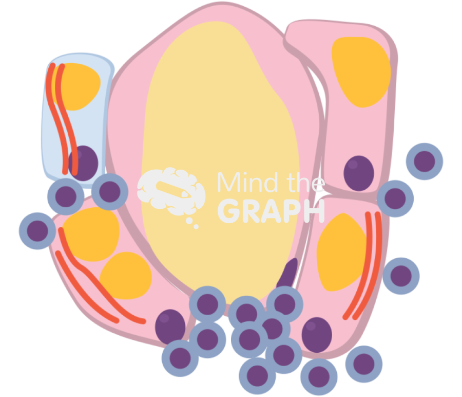 Free Nonalcoholic steatohepatitis nash Icons, Symbols, Pictures, and ...