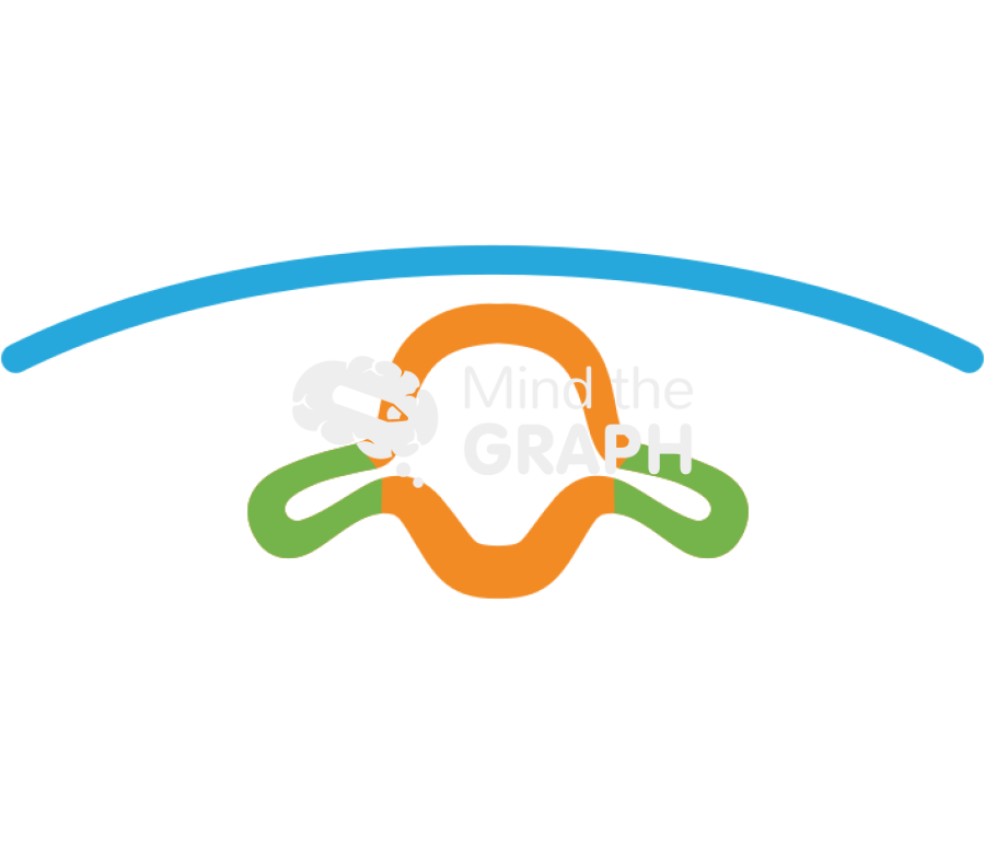 Optical vesicle formation step 3