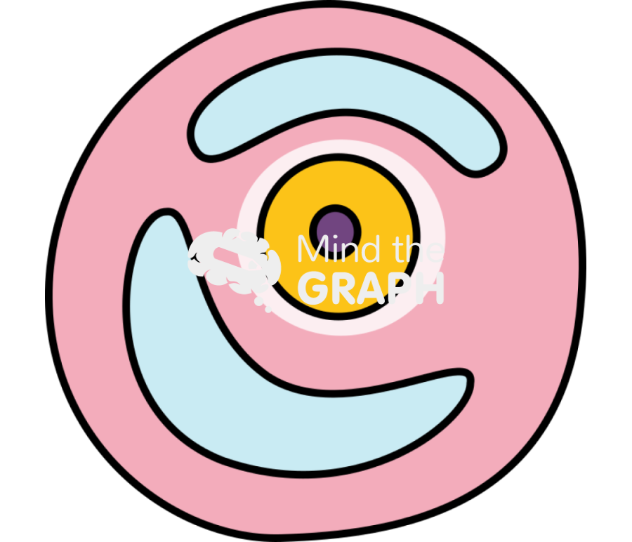 Free Ovum 3 Icons, Symbols, Pictures, and Images | Mind the Graph