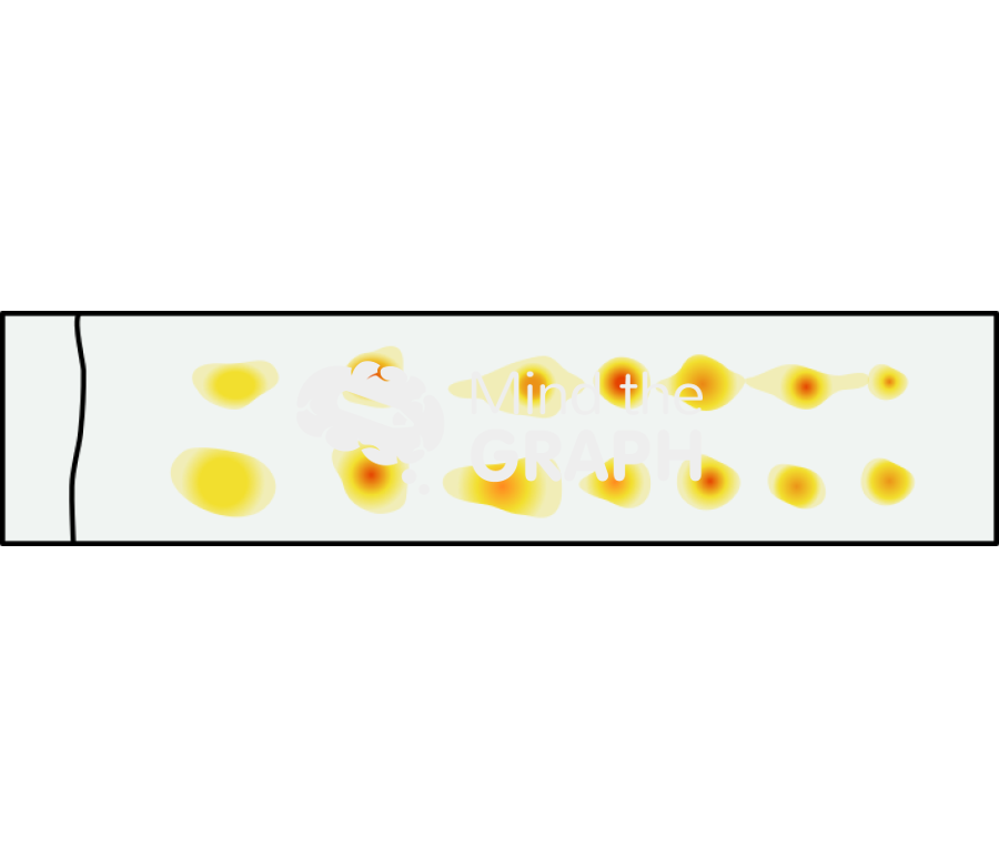 Free Paper chromatography 4 Icons, Symbols, Pictures, and Images | Mind ...