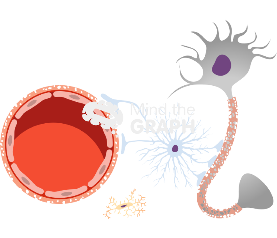 Pathological state neuron astrocyte microglia vessel