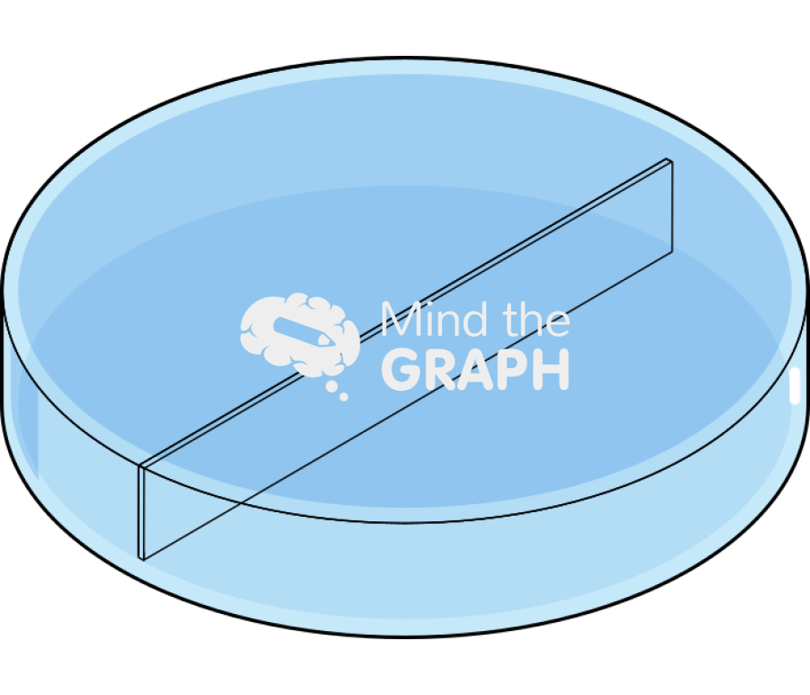 Free Petri dish two compartments Icons, Symbols, Pictures, and Images ...