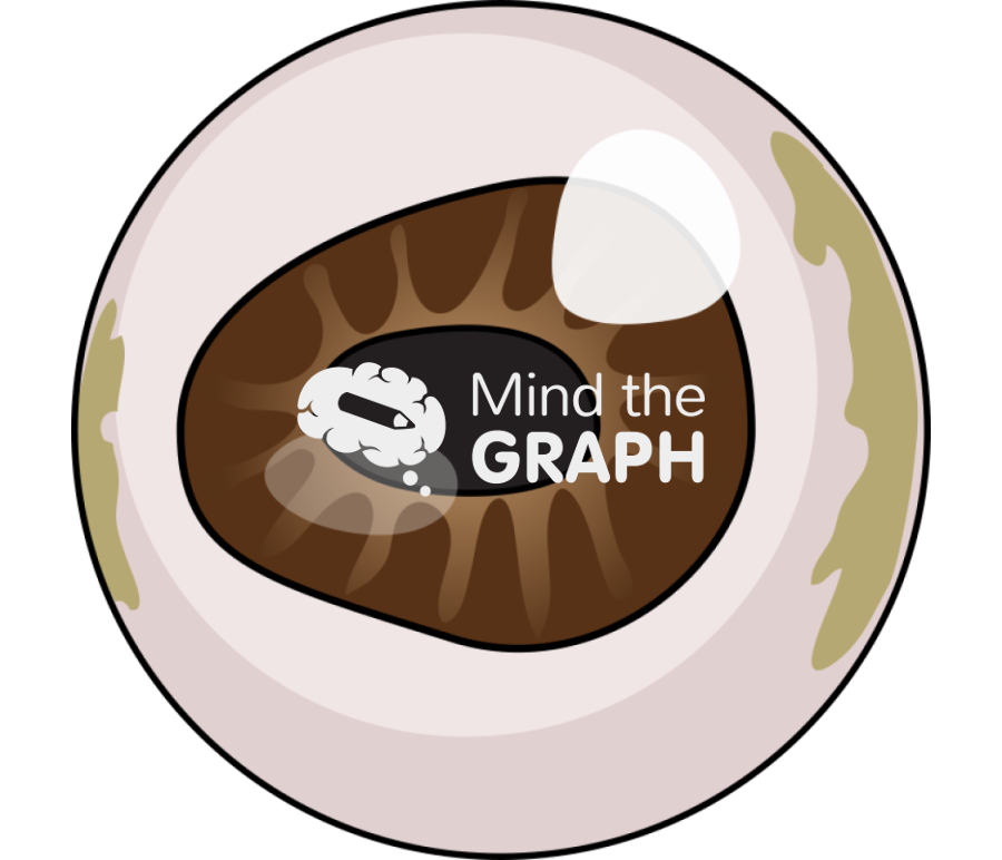 Free Pig eyeball anterior Icons, Symbols, Pictures, and Images | Mind ...