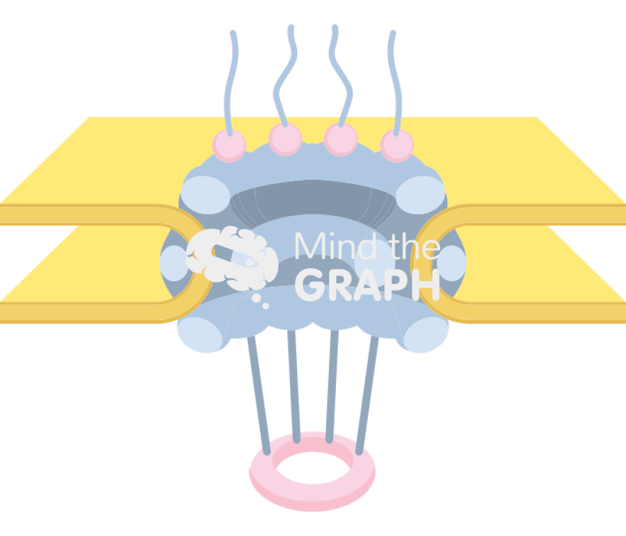 Free Pore Icons, Symbols, Pictures, and Images | Mind the Graph