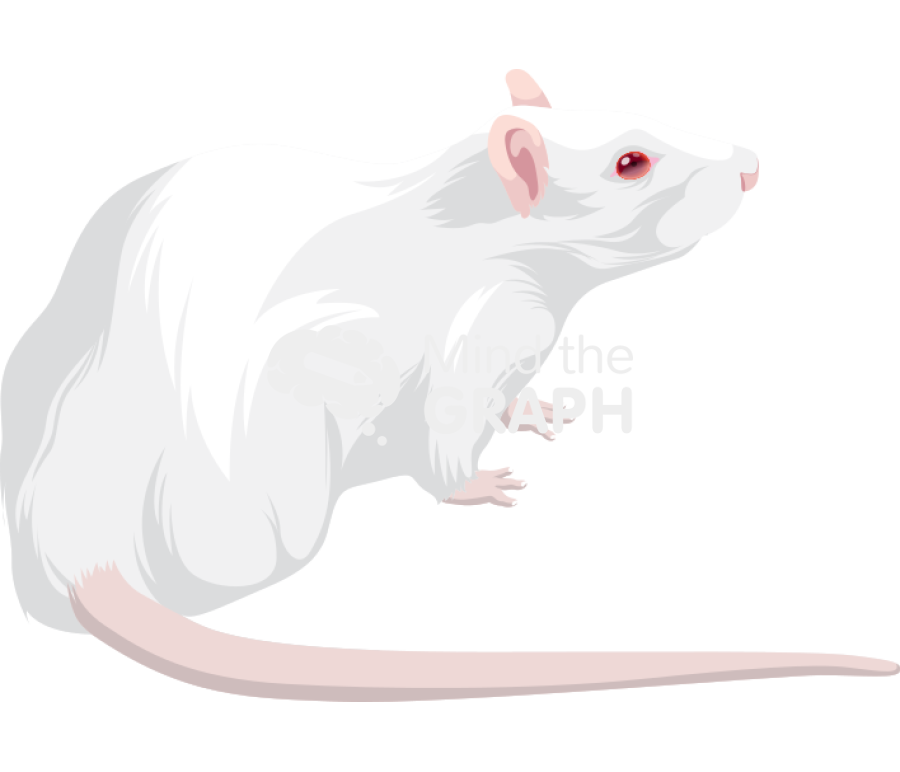 Free Rat 2 Icons, Symbols, Pictures, and Images | Mind the Graph