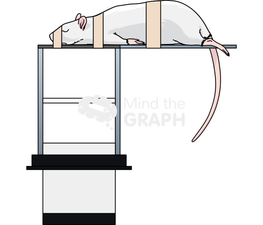 Free Rat exam anesthesis robotic stage lateral Icons, Symbols, Pictures ...